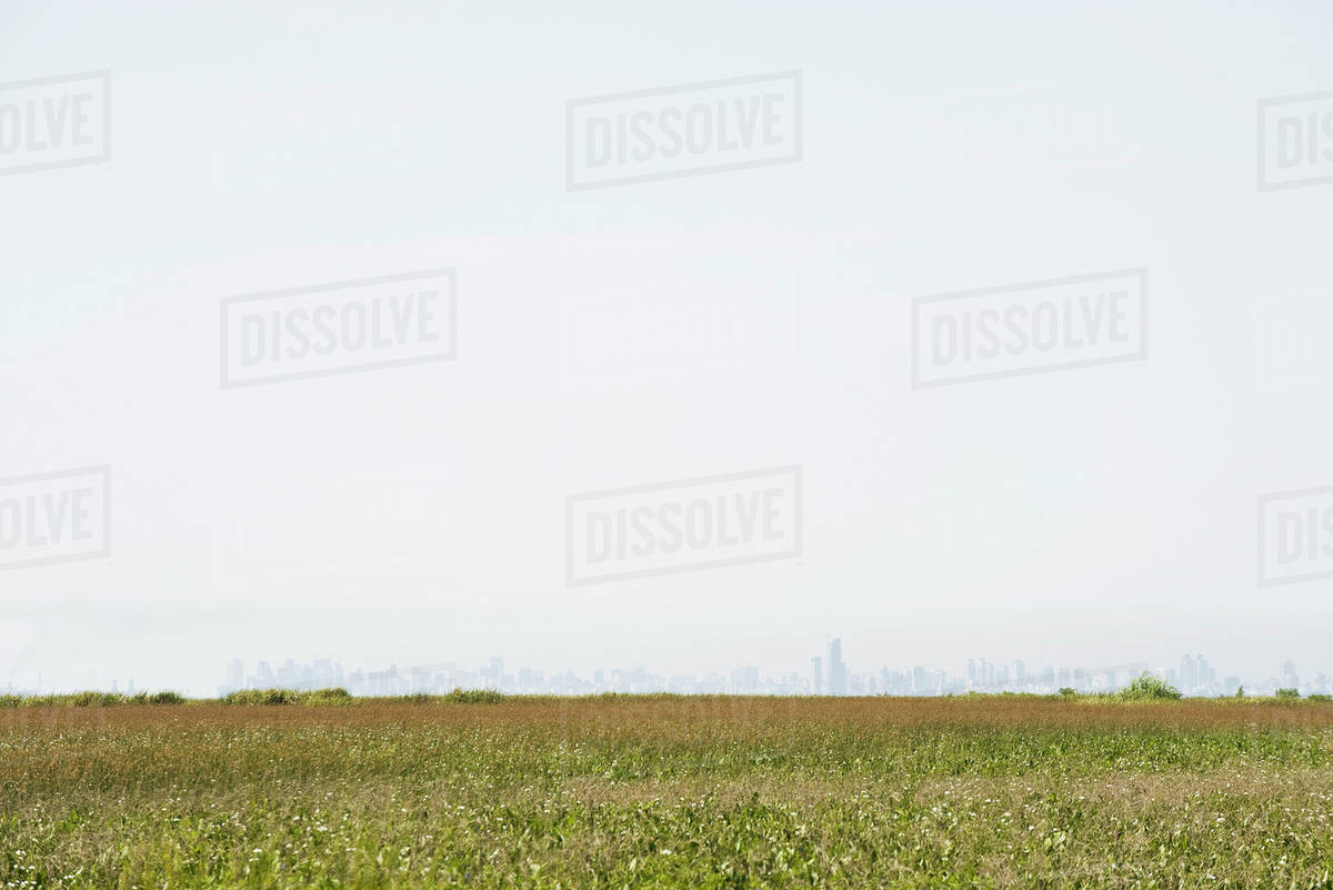Field, smog obscured city skyline in distance - Stock Photo - Dissolve