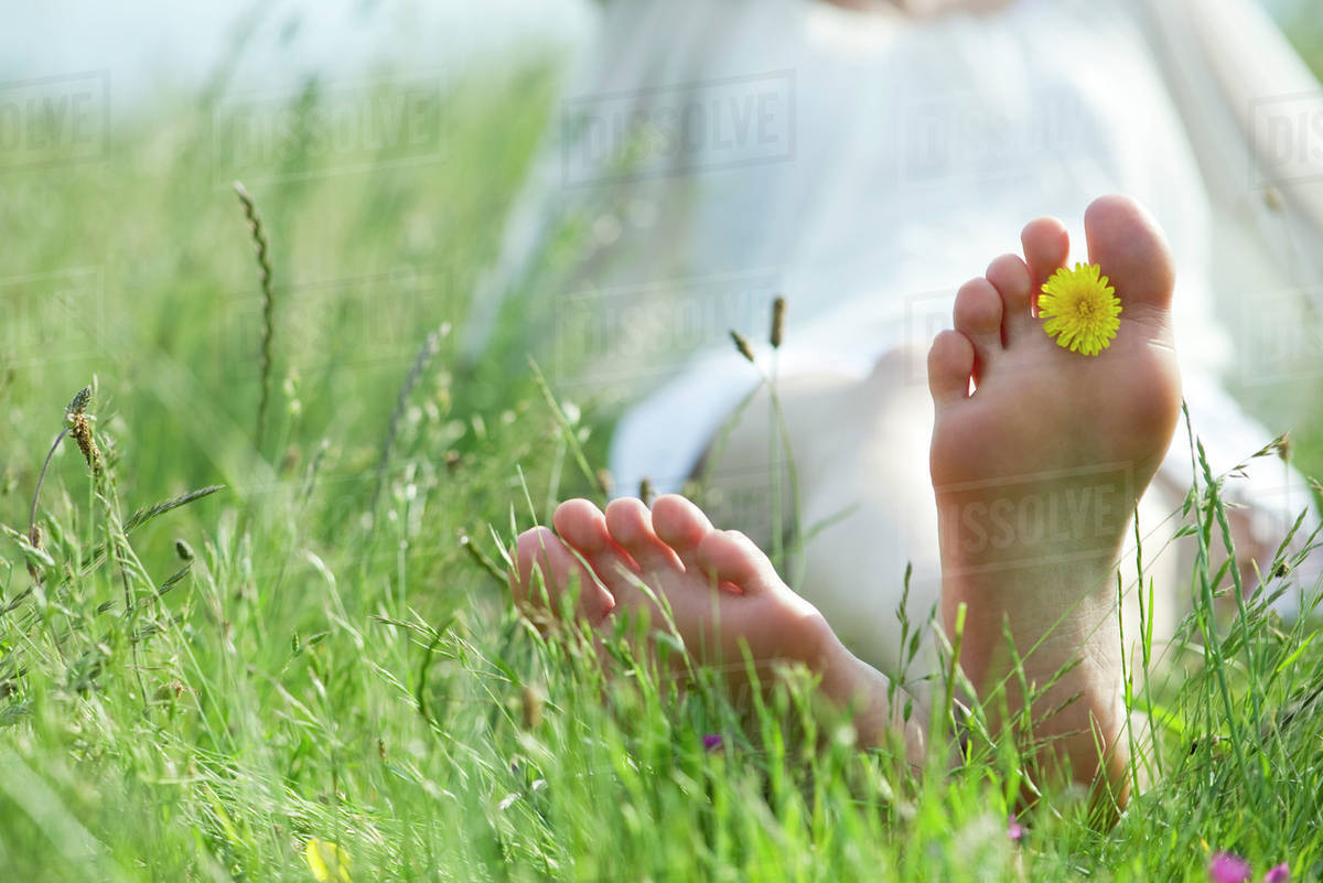 Barefoot woman sitting in grass, holding dandelion flower between toes ...