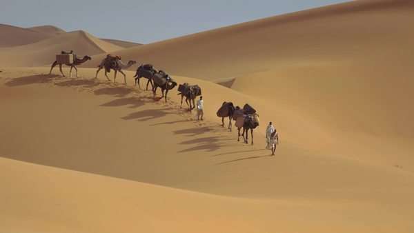 FootageBank | Dissolve