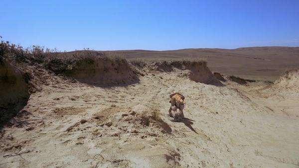 FootageBank | Dissolve