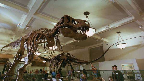 FootageBank | Dissolve