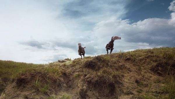 FootageBank | Dissolve