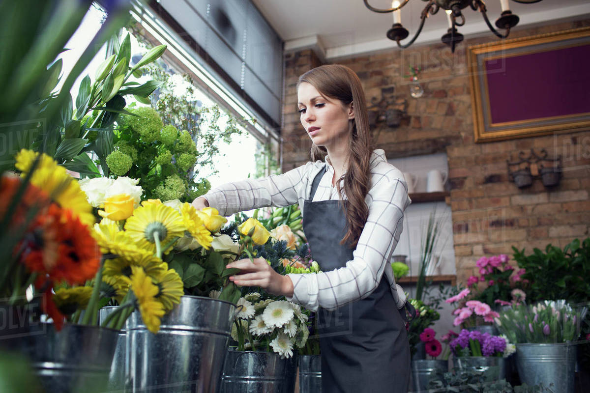 Female florist at work in shop - Stock Photo - Dissolve