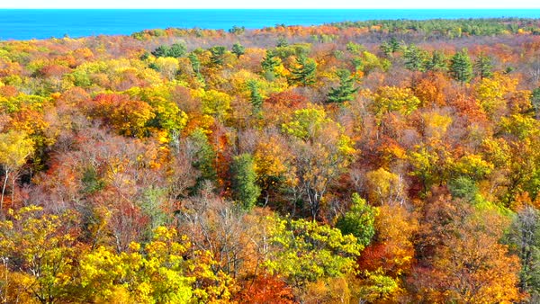 Northern Wisconsin's exceptionally colorful, breathtaking forests ...