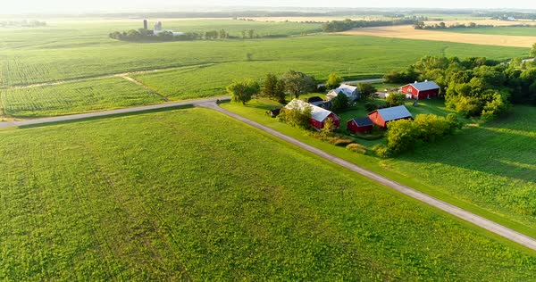 Scenic flyover of vast agricultural landscape with corn fields and ...
