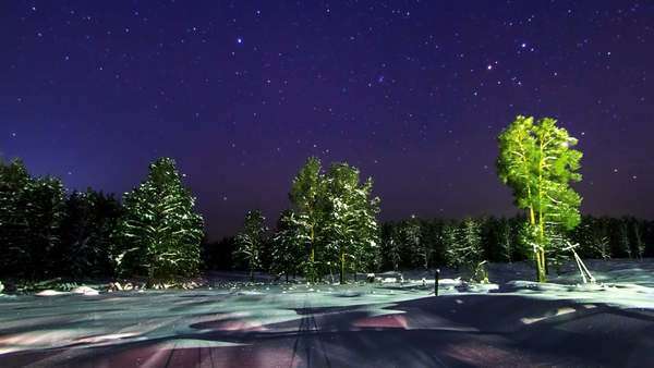 Timelapse of starry night sky and treeline winter landscape. - Stock ...