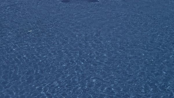 Couple swimming in pool. - HD Royalty-free Stock Video Footage | Dissolve
