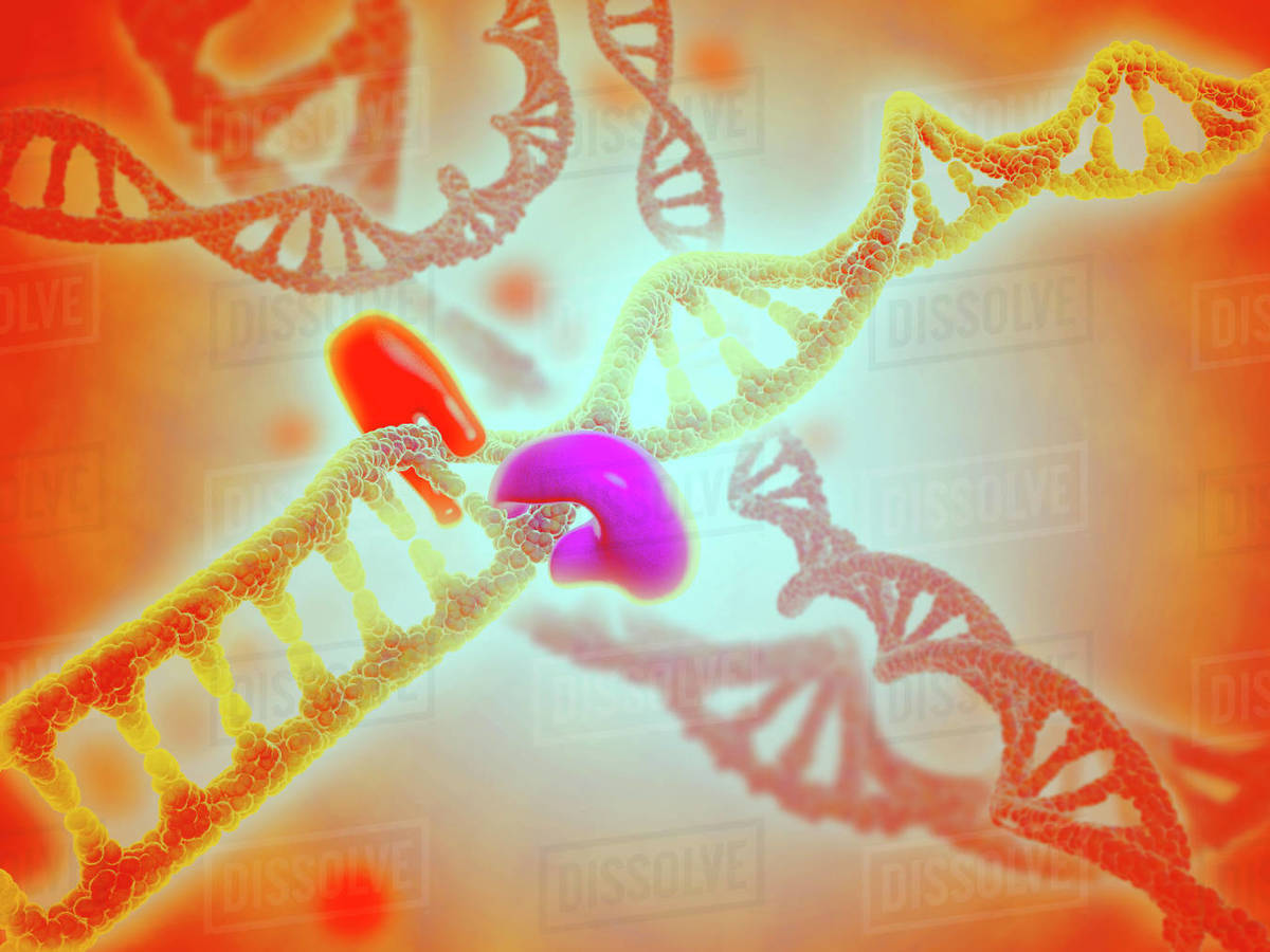 Microscopic view of DNA binding. - Royalty-free Stock Photo | Dissolve
