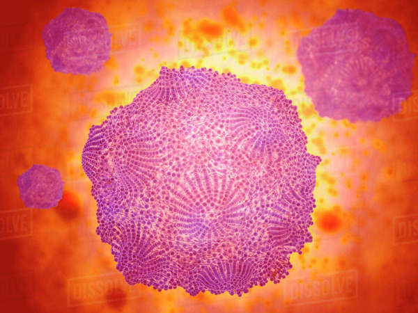 Microscopic view of Canine Parvovirus. - Royalty-free Stock Photo ...