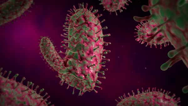 Microscopic visualization of rabies virus. - Stock Video Footage - Dissolve