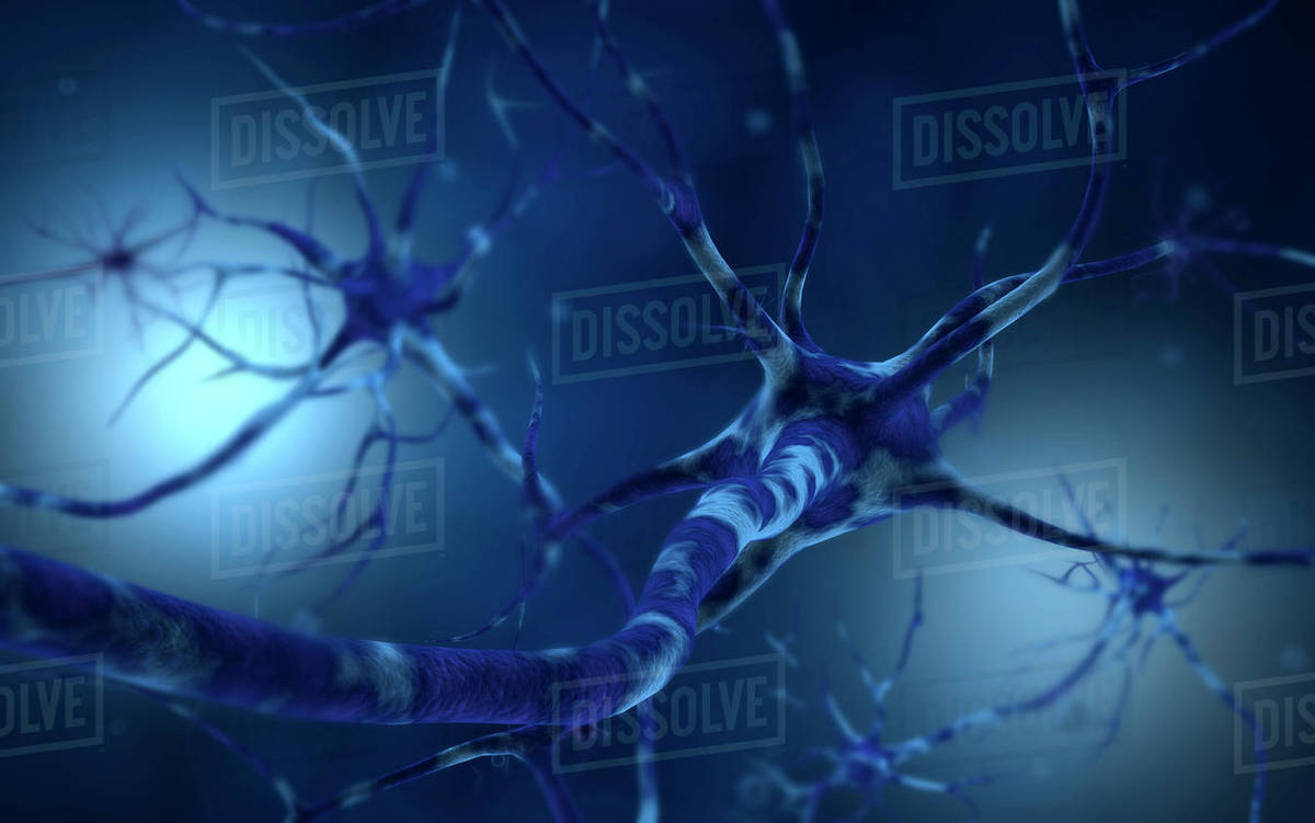 Conceptual image of neuron. - Royalty-free Stock Photo | Dissolve