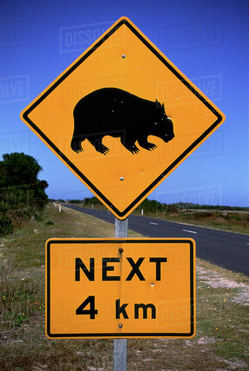 A sign warning of wombats alongside the road, Australia - Royalty-free ...