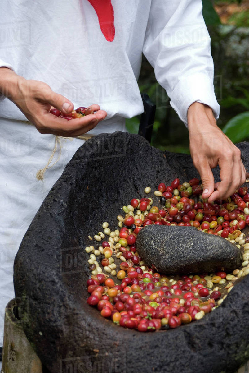 Traditional way of shelling coffee beans - Royalty-free Stock Photo ...