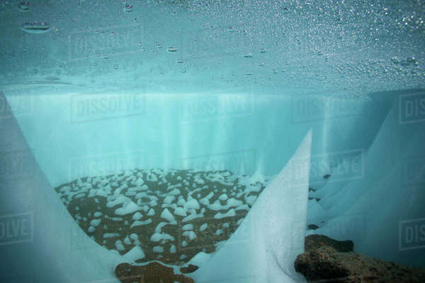 Underwater in a cryoconite hole, a hole formed by windblown dust and ...