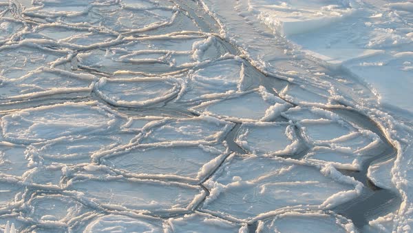 Pancake ice on Southern Ocean as sea ice forms, Atka Bay, Antarctica ...