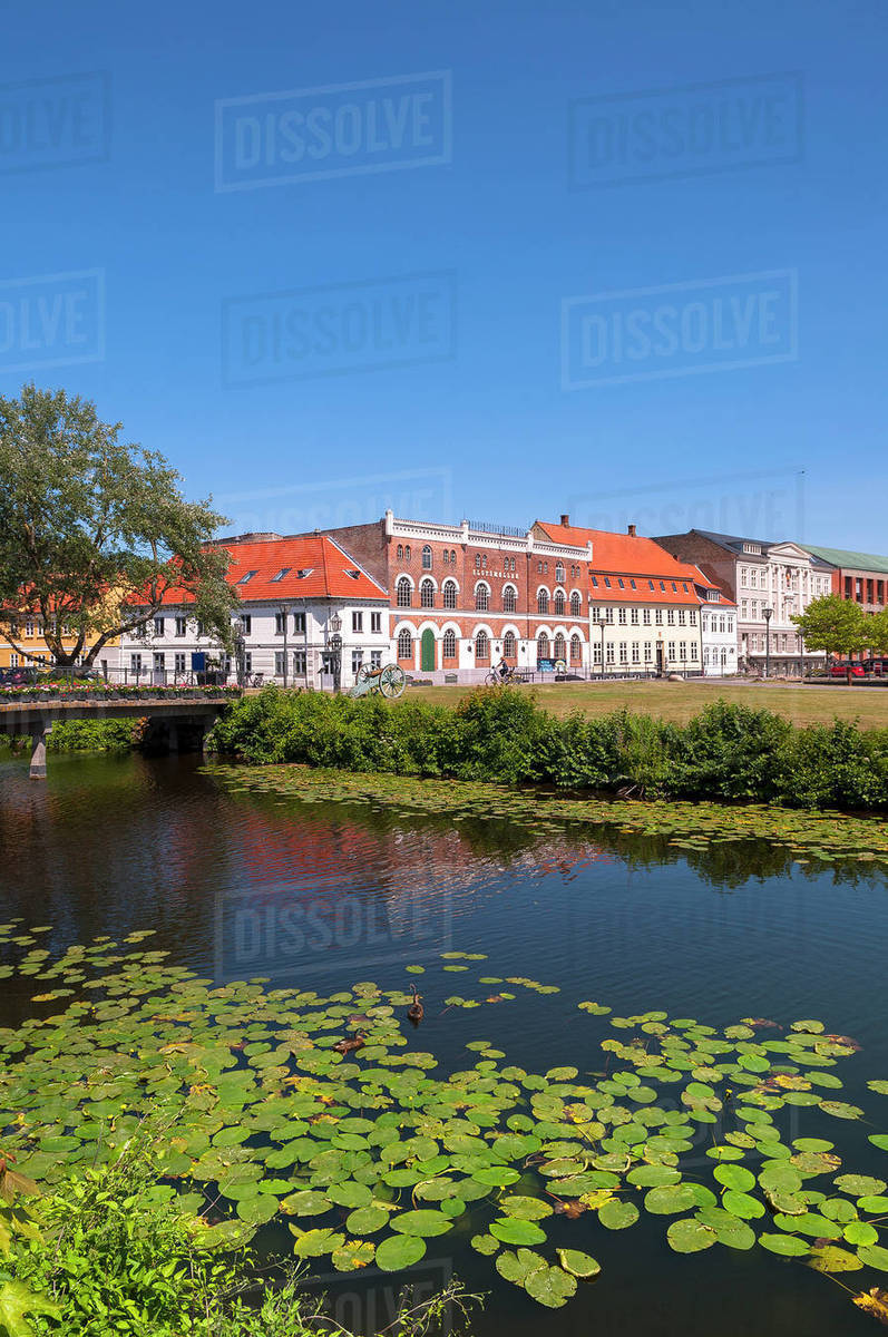 Lily Pads in Stream, Nyborg, Fyn Island, Denmark - Royalty-free Stock ...