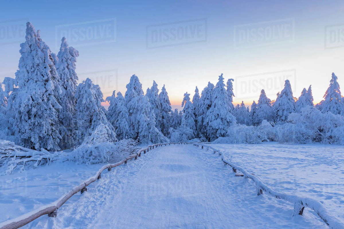 Snow Covered Winter Landscape with Path at Dawn, Grosser Feldberg ...