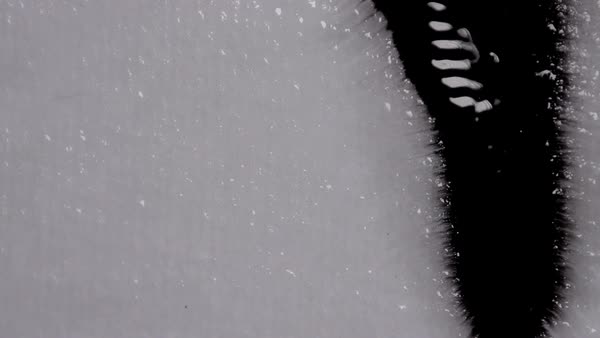 Black ink bleed running down canvas. Ink running from top to bottom ...