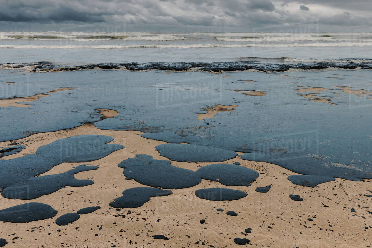 Oil in coastline after a tanker wreck. Fuel oil leak and polluted beach ...