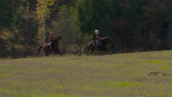 Wide shot of man and woman galloping on horses through a field - 4K ...