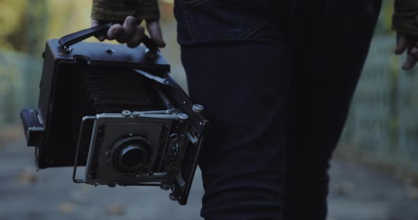 Shape the scene of a crisp fall walk. | Dissolve