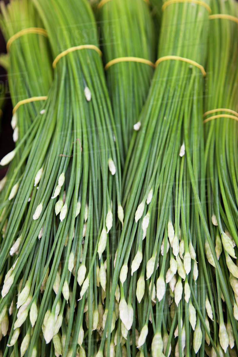 Close up of rice stalks - Royalty-free Stock Photo | Dissolve