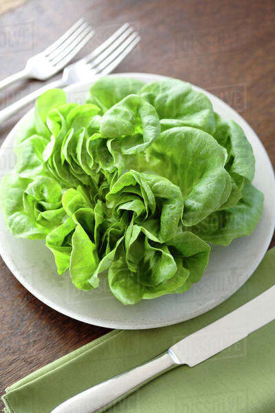 Fresh lettuce on plate - Royalty-free Stock Photo | Dissolve