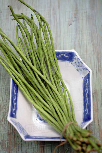 Close up of Chinese long beans - Stock Photo - Dissolve