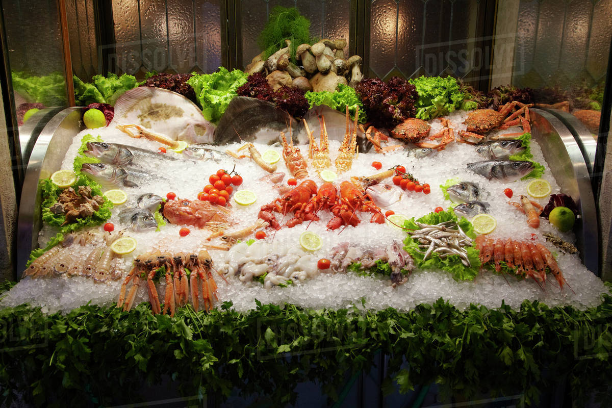 Seafood displayed on ice - Stock Photo - Dissolve