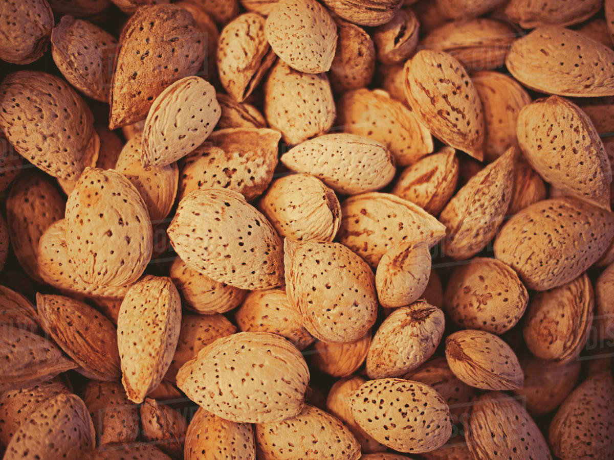 Close up of pile of almonds - Stock Photo - Dissolve