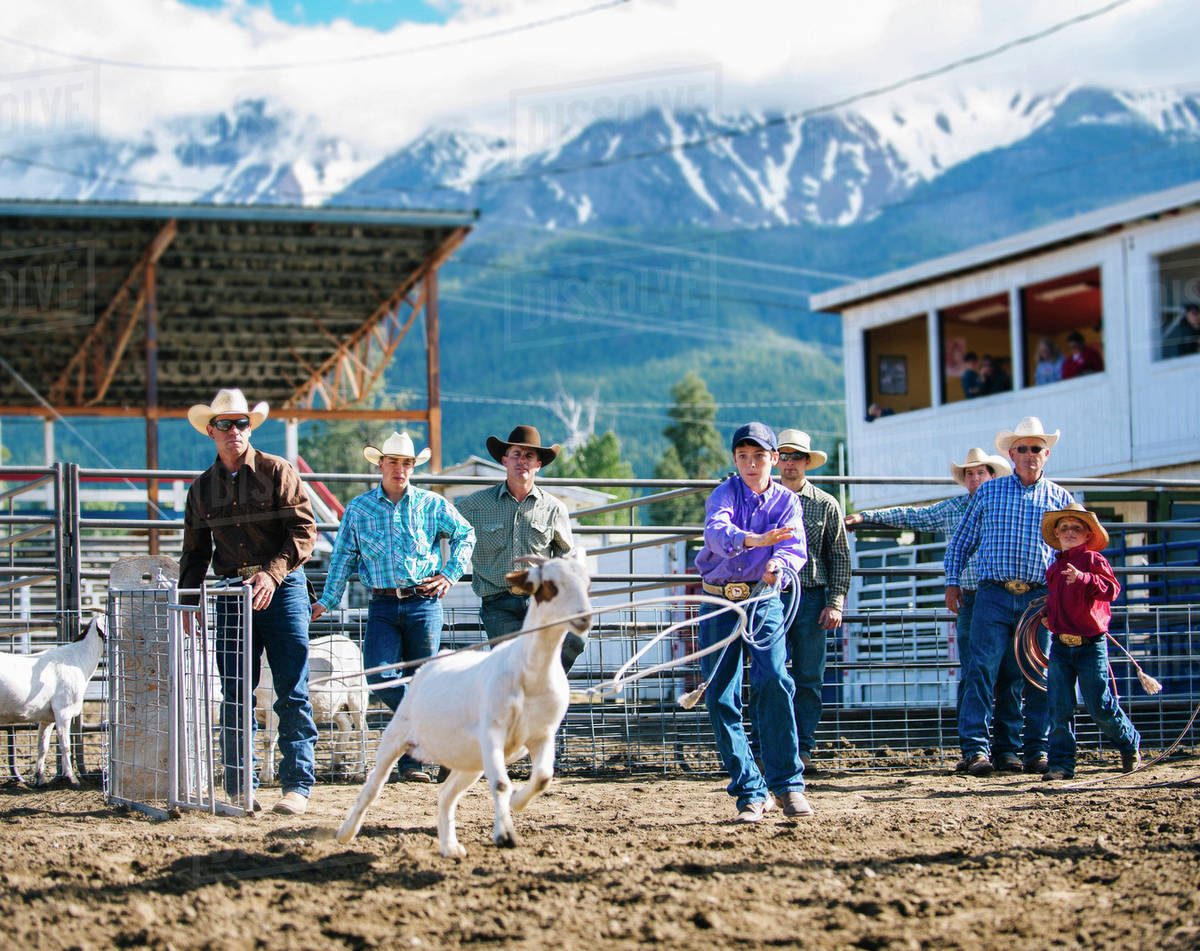 Cowboys watching boy throw lasso in rodeo - Stock Photo - Dissolve