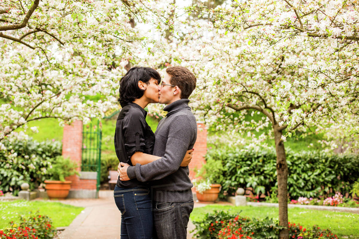 Couple kissing under flowering trees in park - Royalty-free Stock Photo ...