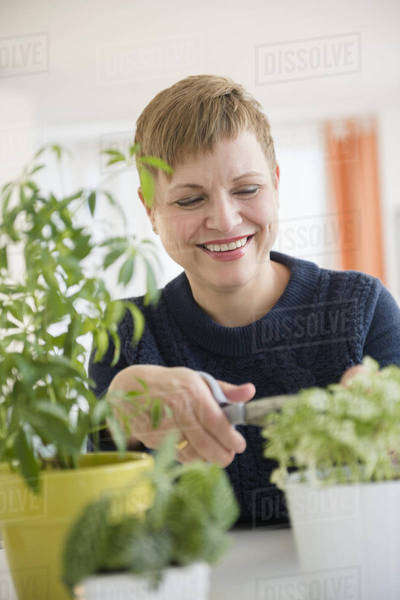 Caucasian woman pruning indoor plants - Royalty-free Stock Photo | Dissolve
