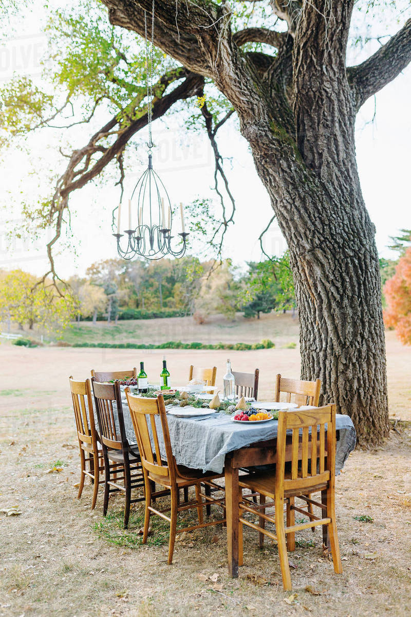 Empty dinner table in field - Royalty-free Stock Photo | Dissolve