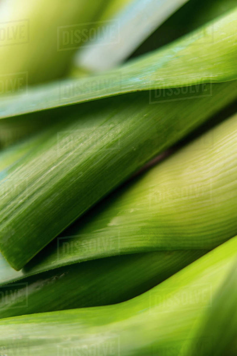 Stalks of green vegetable - Royalty-free Stock Photo | Dissolve