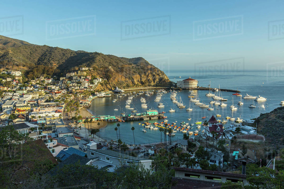Boats in waterfront harbor - Stock Photo - Dissolve