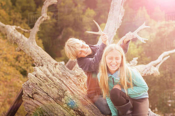 Caucasian brother and sister playing with antlers on tree - Royalty ...