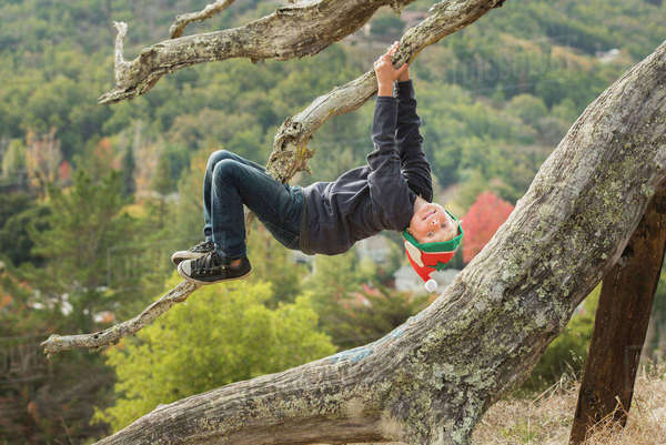 Caucasian boy hanging upside-down on tree branch - Stock Photo - Dissolve