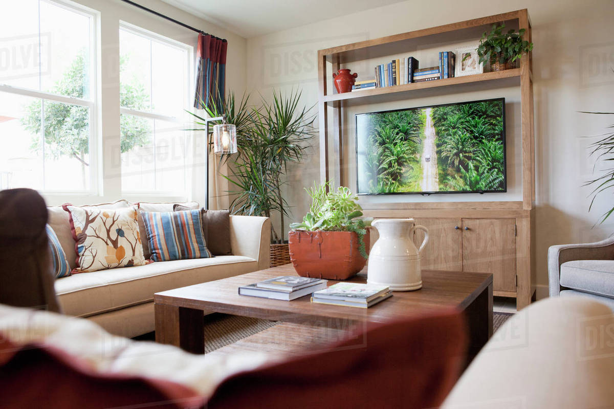 Seating furniture with flat screen television in the living room ...