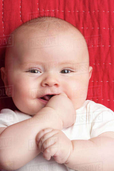 Caucasian baby biting hand - Stock Photo - Dissolve