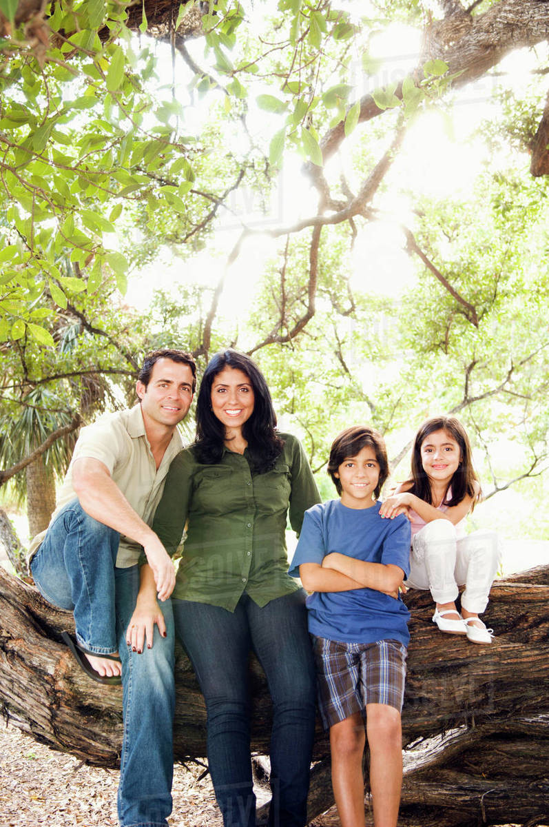 Mixed race family sitting on large tree branch - Stock Photo - Dissolve