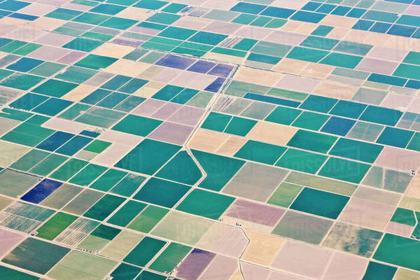 Patchwork Fields - Stock Photo - Dissolve