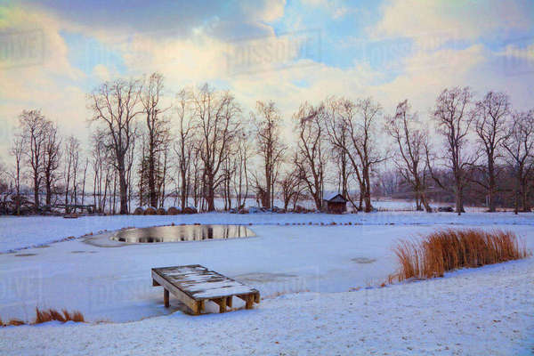 Frozen pond and snow on the ground in winter - Stock Photo - Dissolve