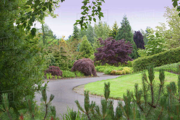 A pathway through the plants, shrubs and trees in the botanical gardens ...