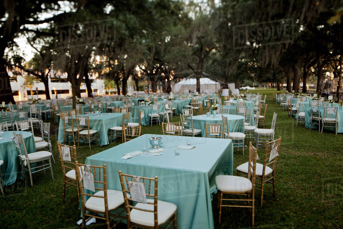 A formal party - Royalty-free Stock Photo | Dissolve