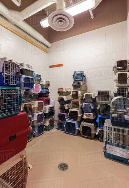 Empty pet crates stacked in room in animal shelter - Royalty-free Stock ...