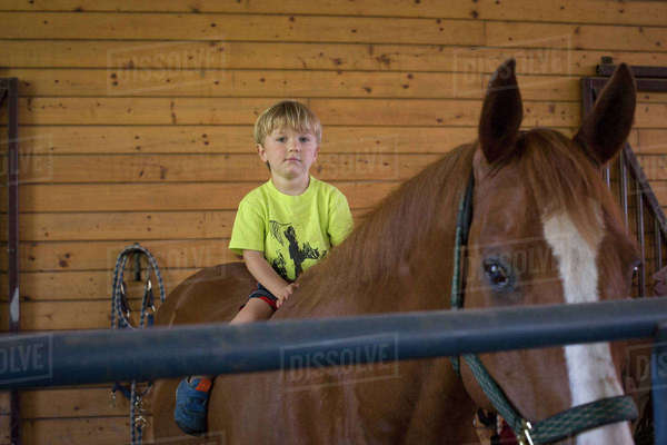 Caucasian boy sitting on horse in stable - Stock Photo - Dissolve
