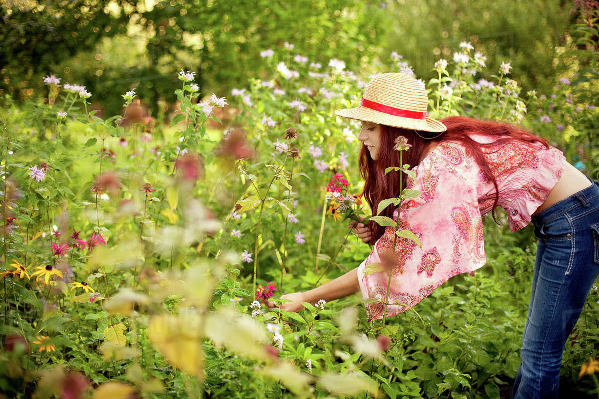 Gardener admiring plants in garden - Stock Photo - Dissolve