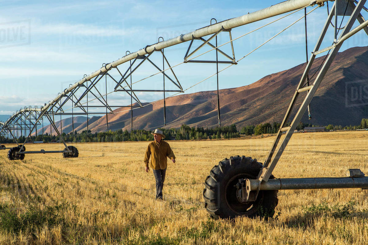 Farmer walking near irrigation equipment - Royalty-free Stock Photo ...