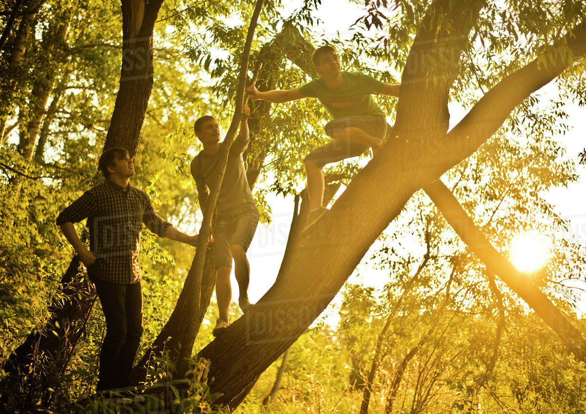 Caucasian men climbing tree in forest - Royalty-free Stock Photo | Dissolve